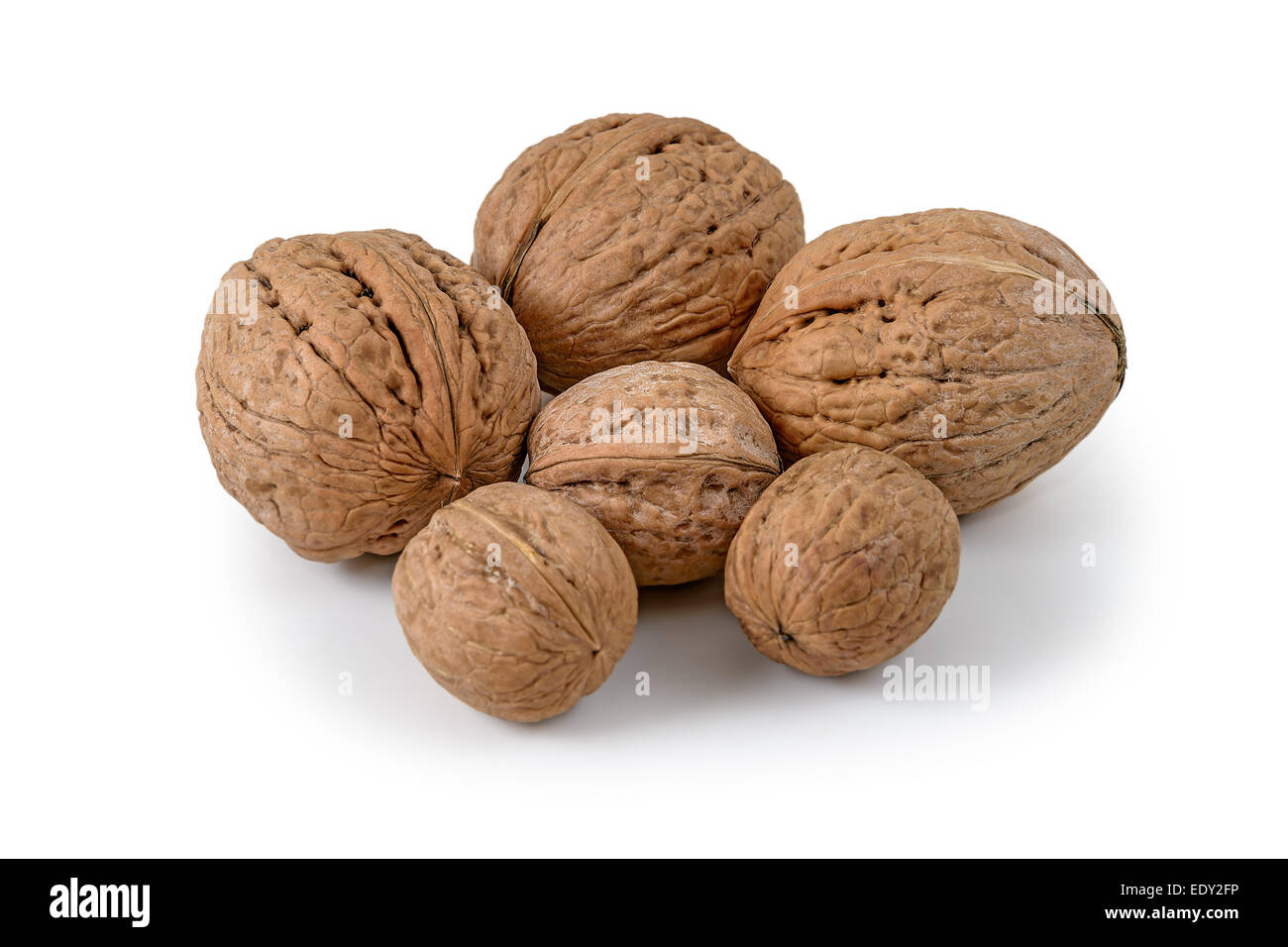 Group walnuts on brown Cut Out Stock Images & Pictures - Alamy