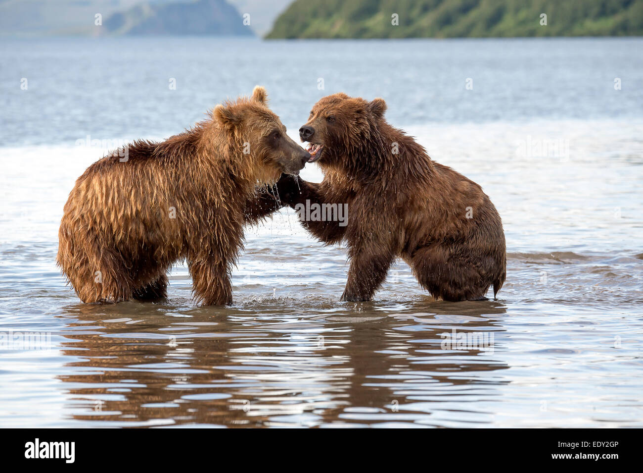 Against each other hi-res stock photography and images - Alamy