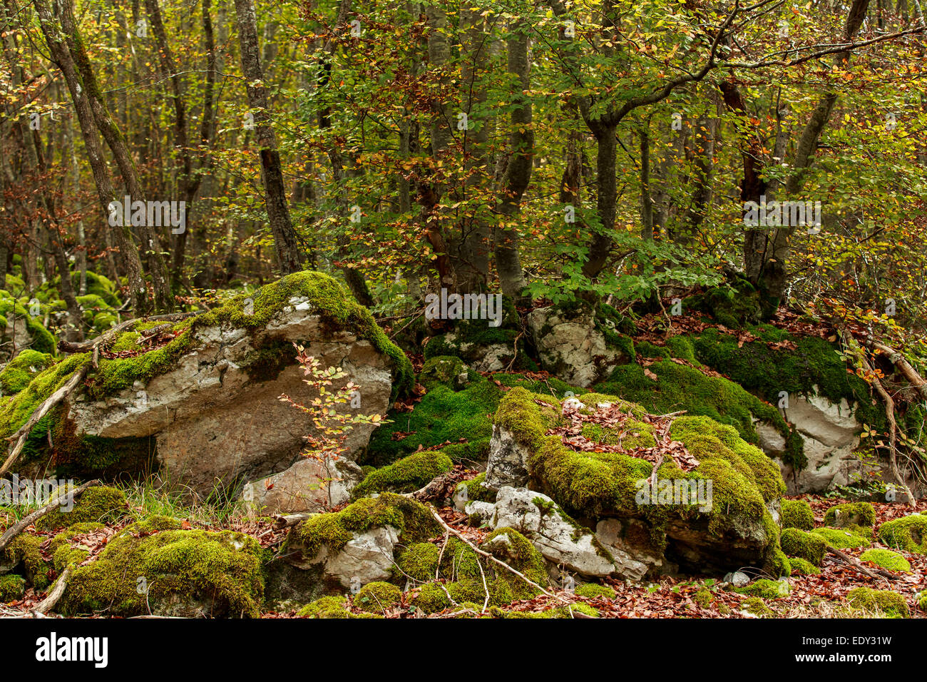 lika croatia landscape Stock Photo - Alamy