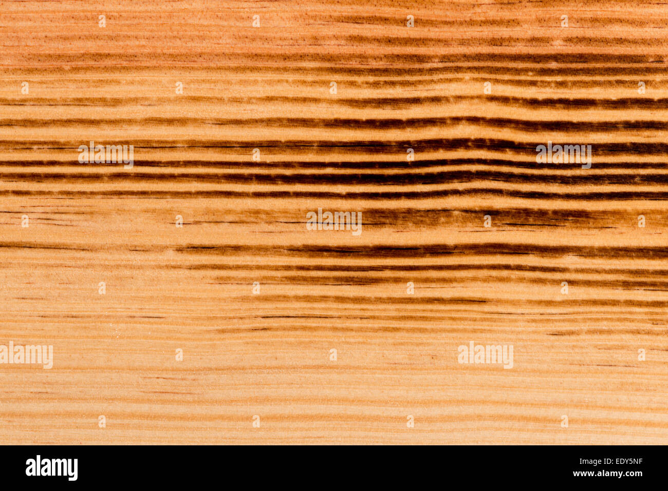 Closeup of natural burned pine wood background Stock Photo - Alamy