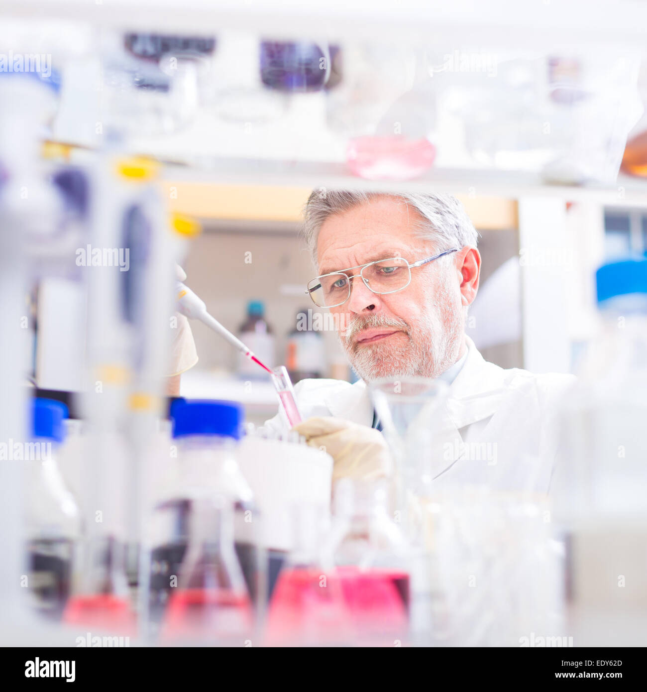 Life scientist researching in the laboratory Stock Photo - Alamy