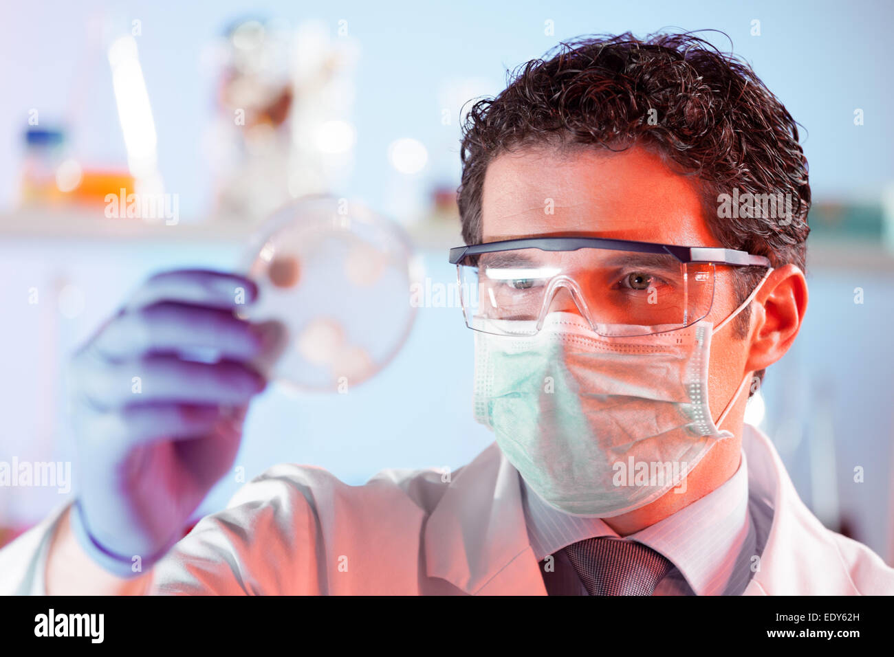 Scientist observing petri dish Stock Photo - Alamy