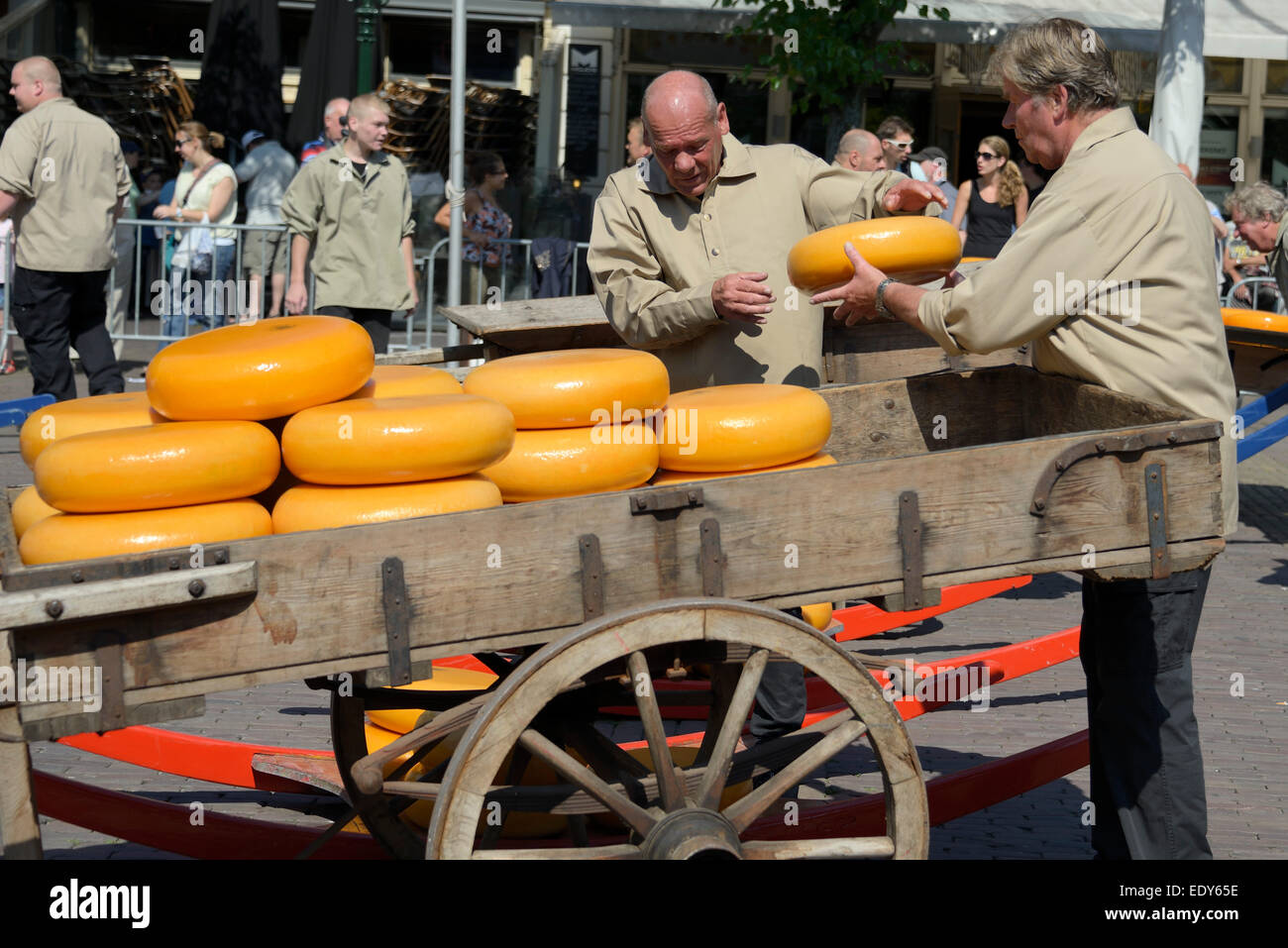 Loading cheese wheels onto a traditional wooden cart, Waagplein Square ...