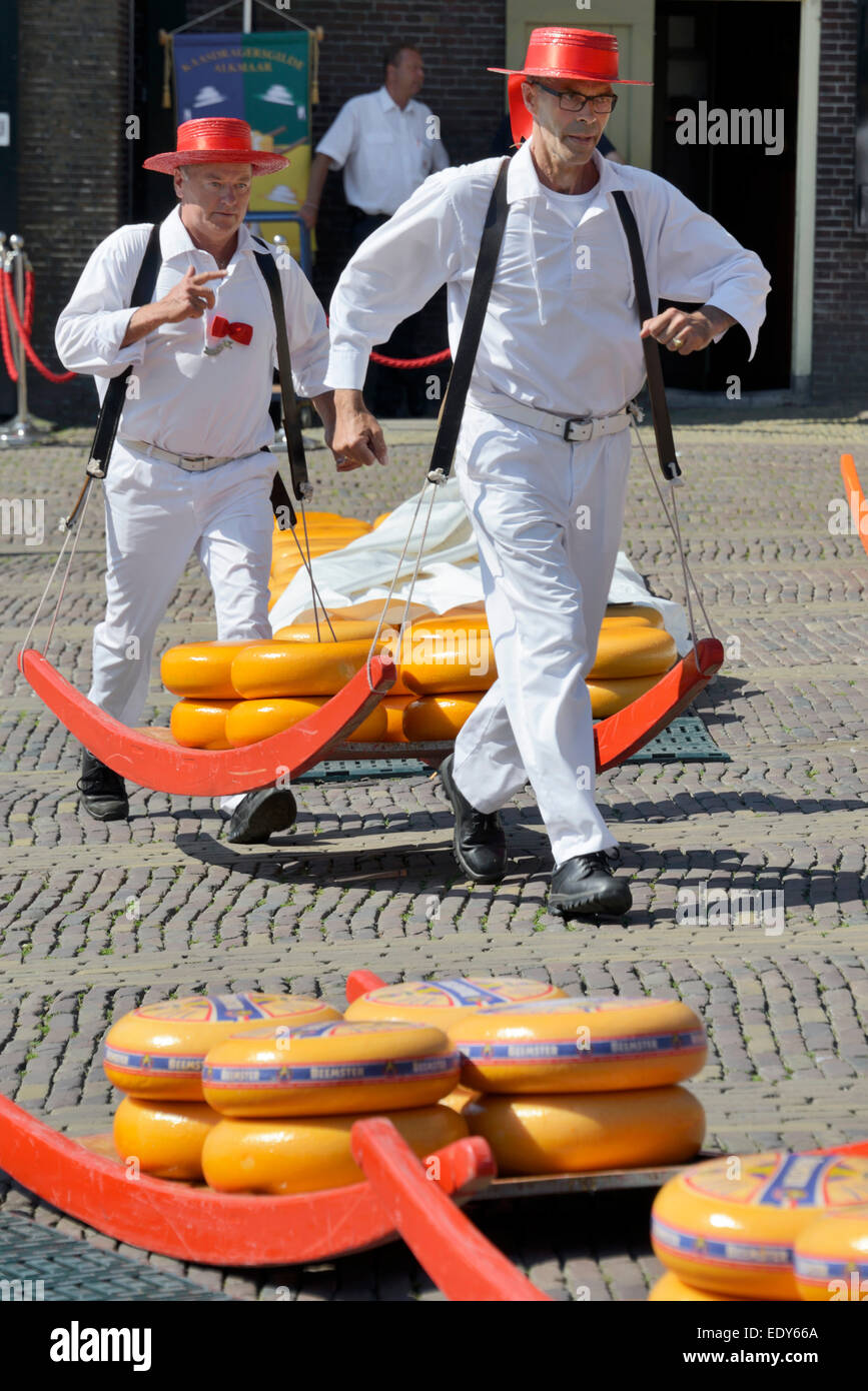 Cheese porters carrying cheese wheels on wooden sledges at the Friday ...