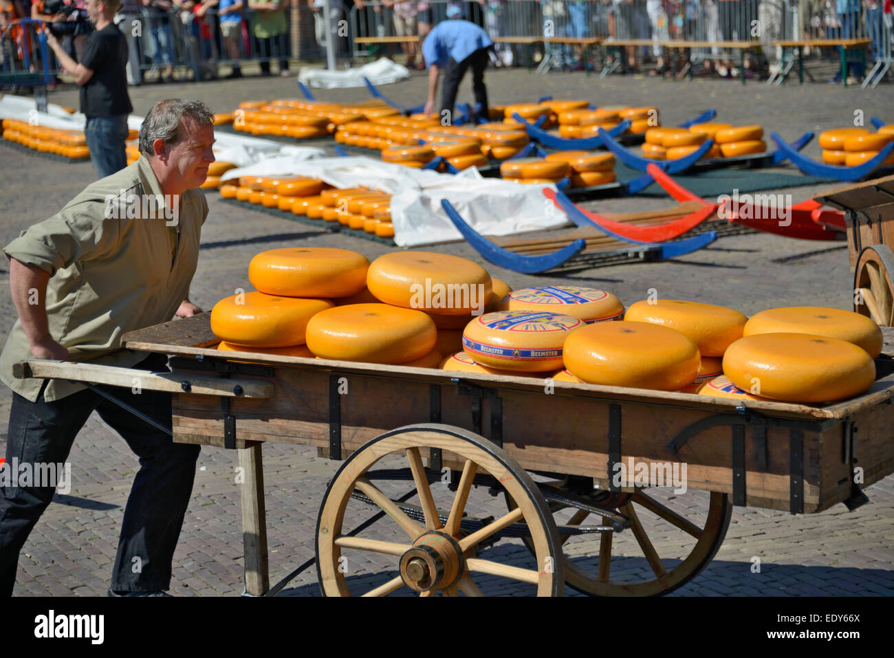 Man pushing a traditional wooden cart loaded with cheese wheels ...