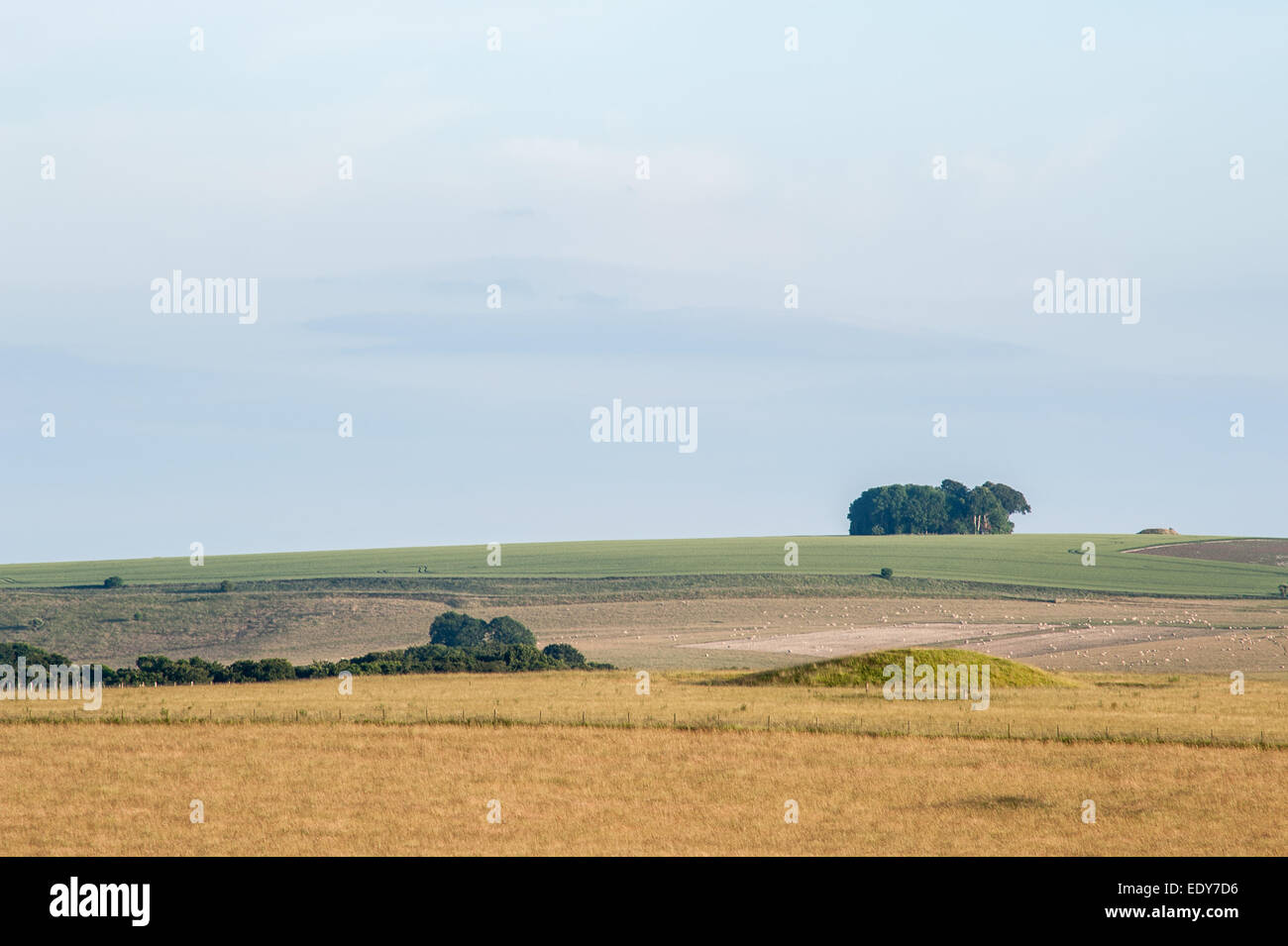 Wiltshire Countryside near stonehenge Stock Photo - Alamy