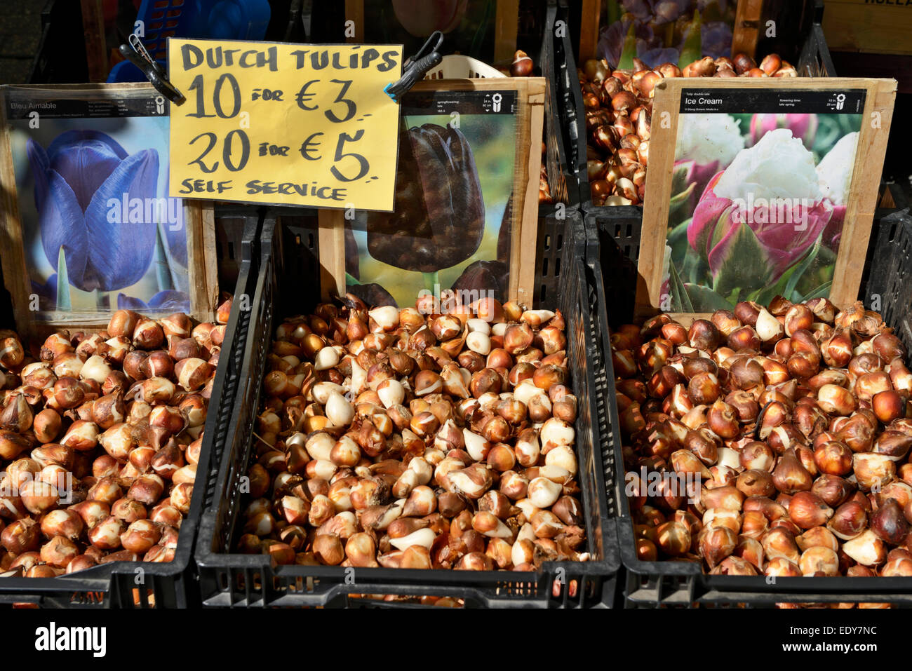 Flower Market Crates