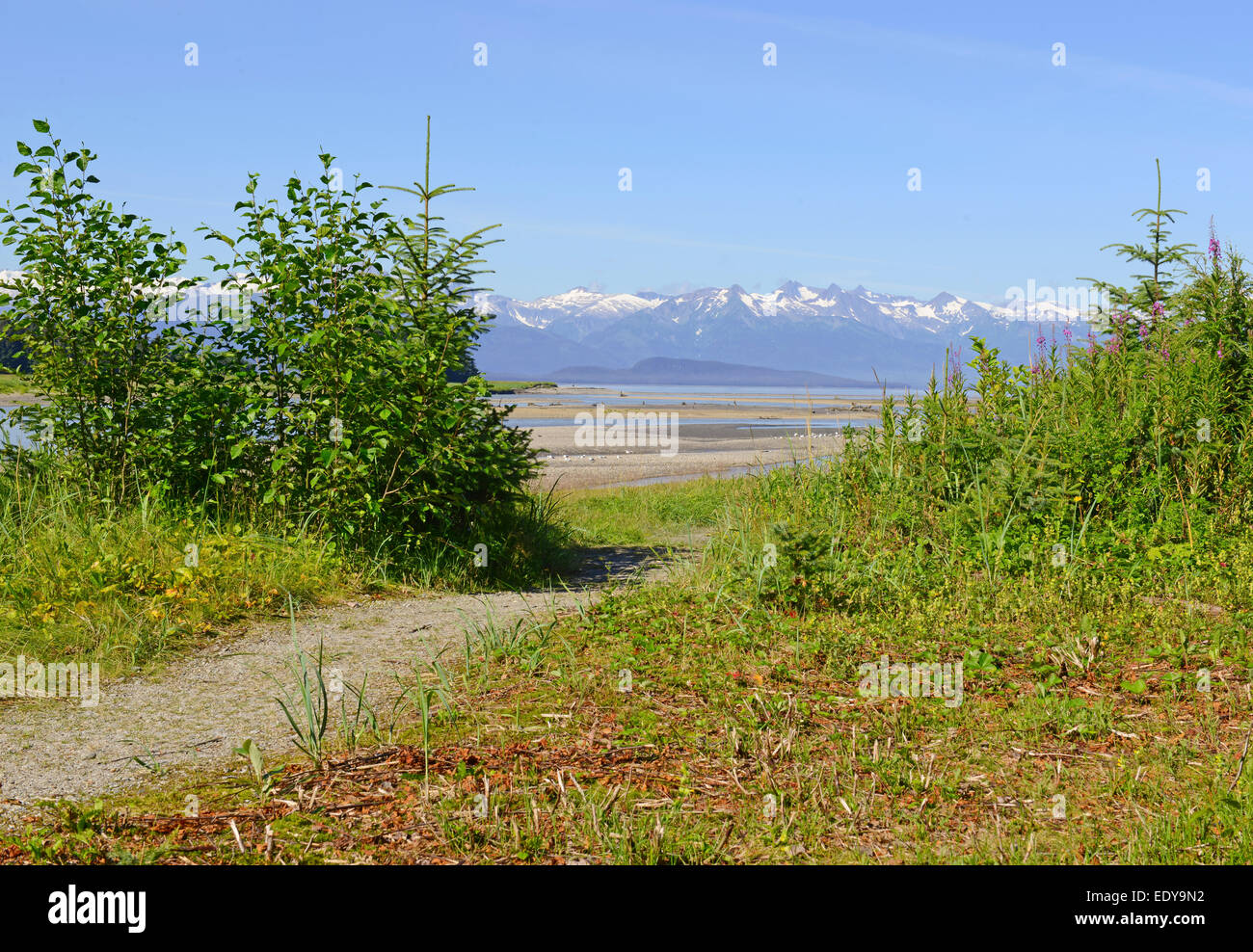 Wilderness landscape, Juneau, Alaska Stock Photo - Alamy