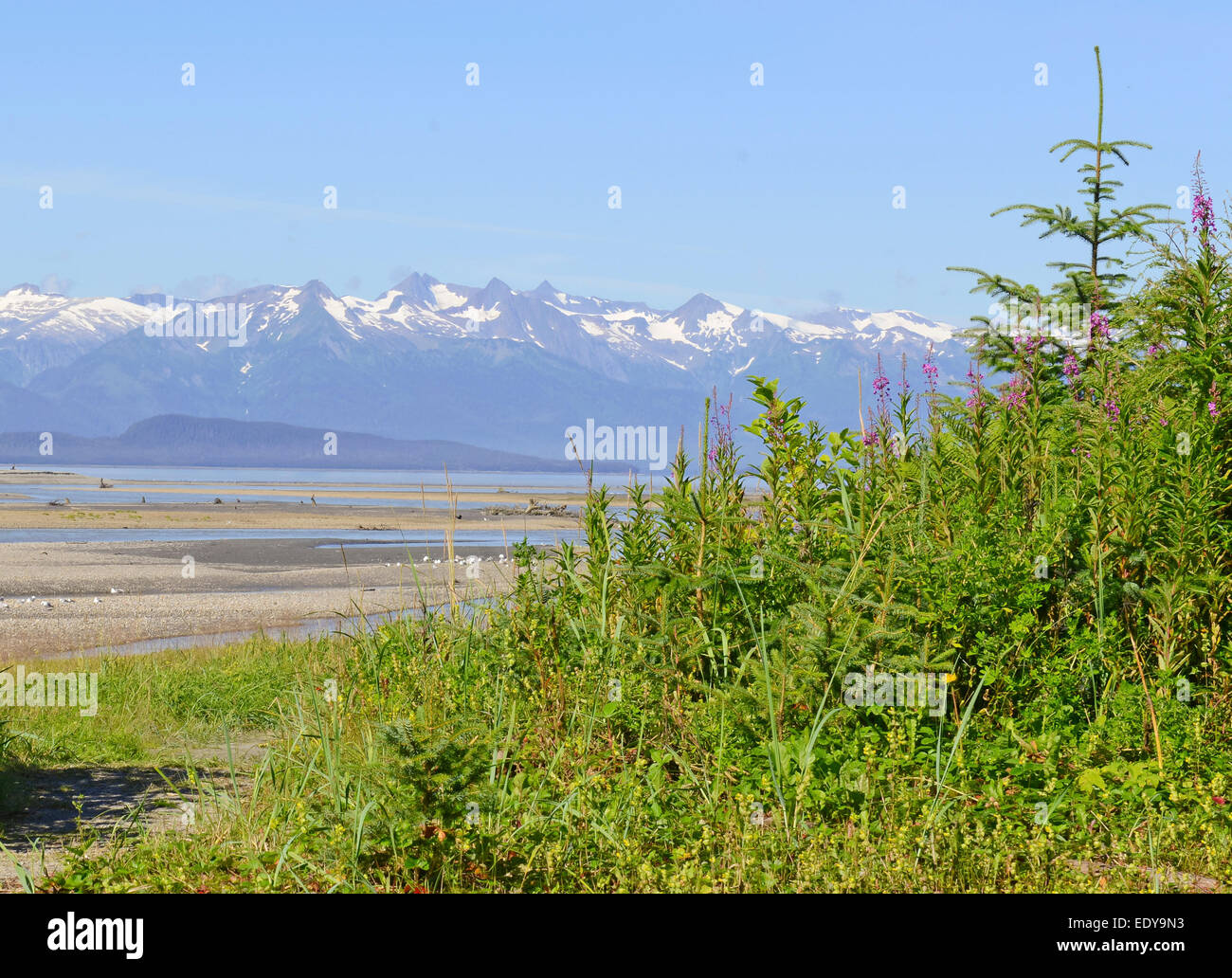 Wilderness landscape, Juneau, Alaska Stock Photo - Alamy