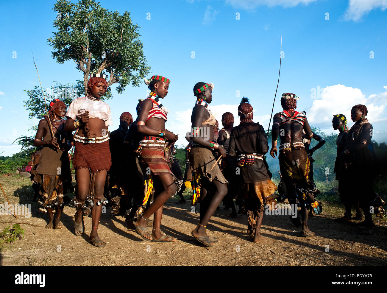 Women dancing during a tribal event, the bull jumping ceremony. They ...