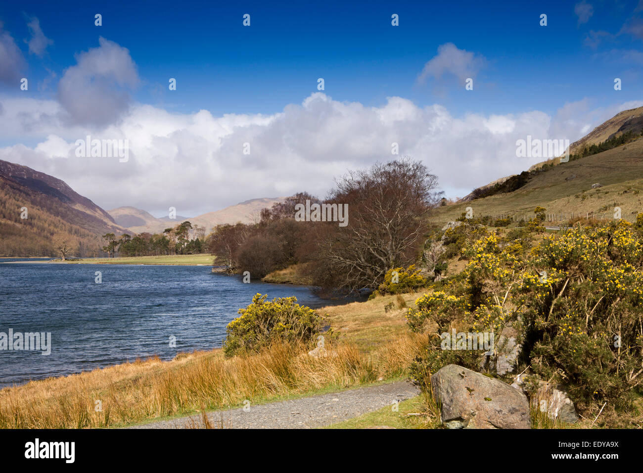 UK, Cumbria, Lake District, Buttermere, from Lower Gatesgarth Stock ...