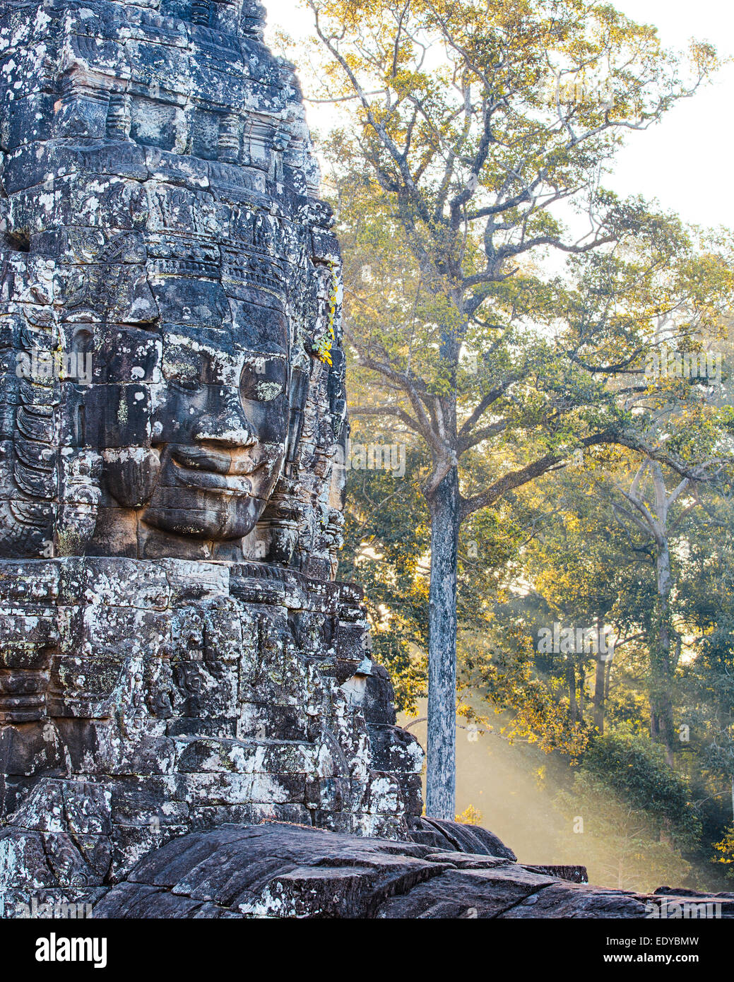 Bayon temple carving of the face with sunbeams through the rainforest ...