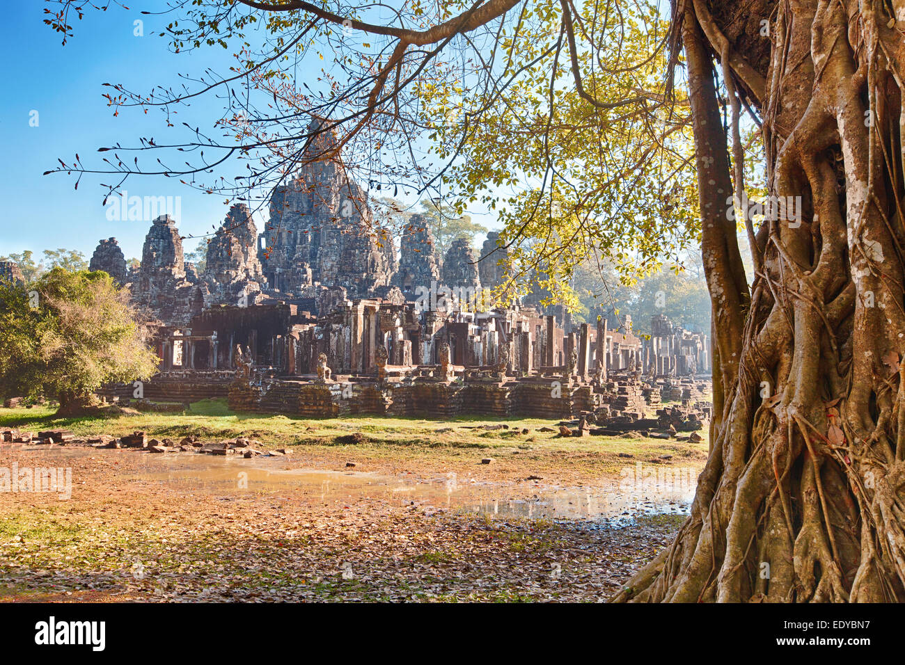 Bayon temple landscape on sunrise. Prehistoric ancient tree with roots ...