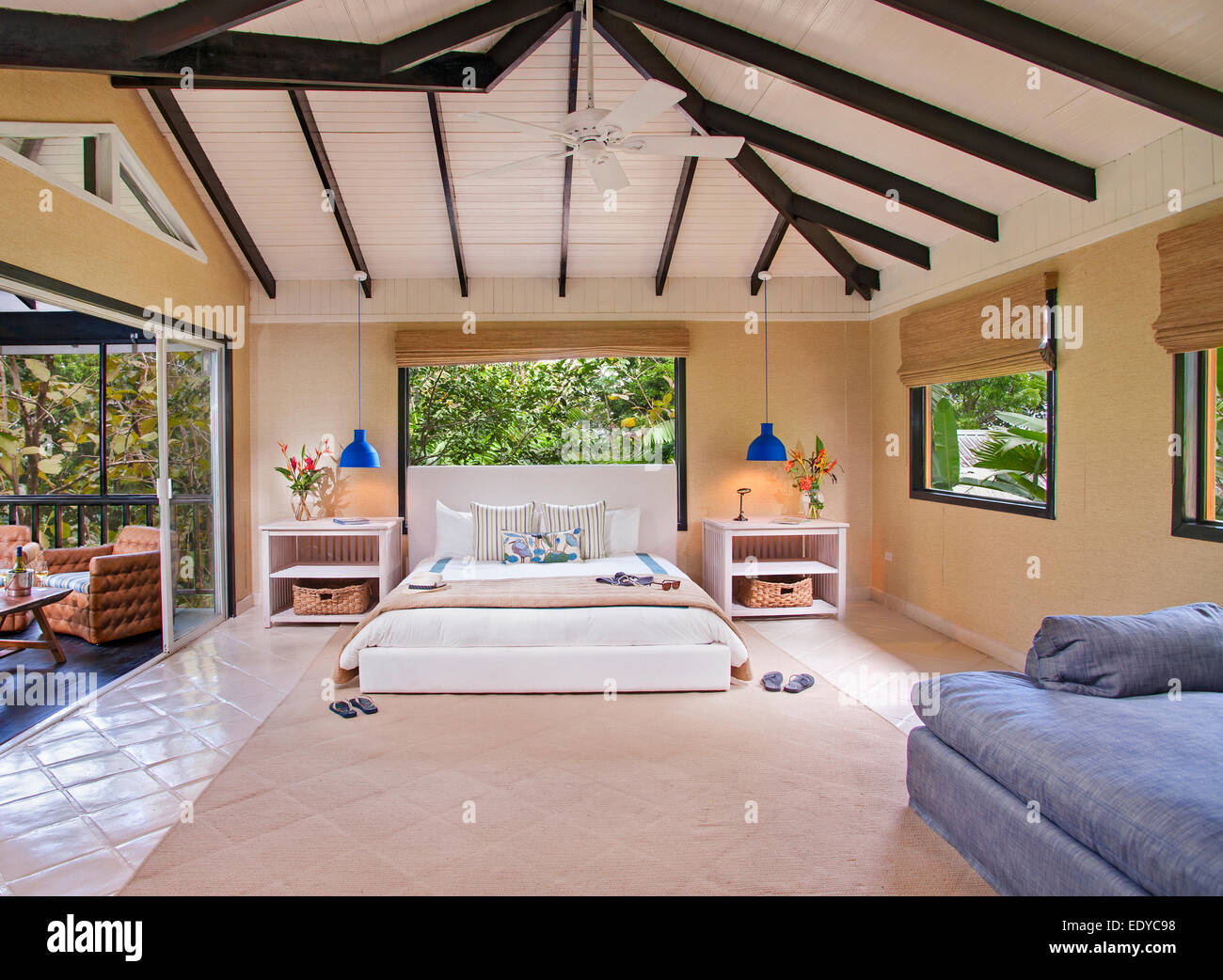 Copal tree hi-res stock photography and images - Alamy