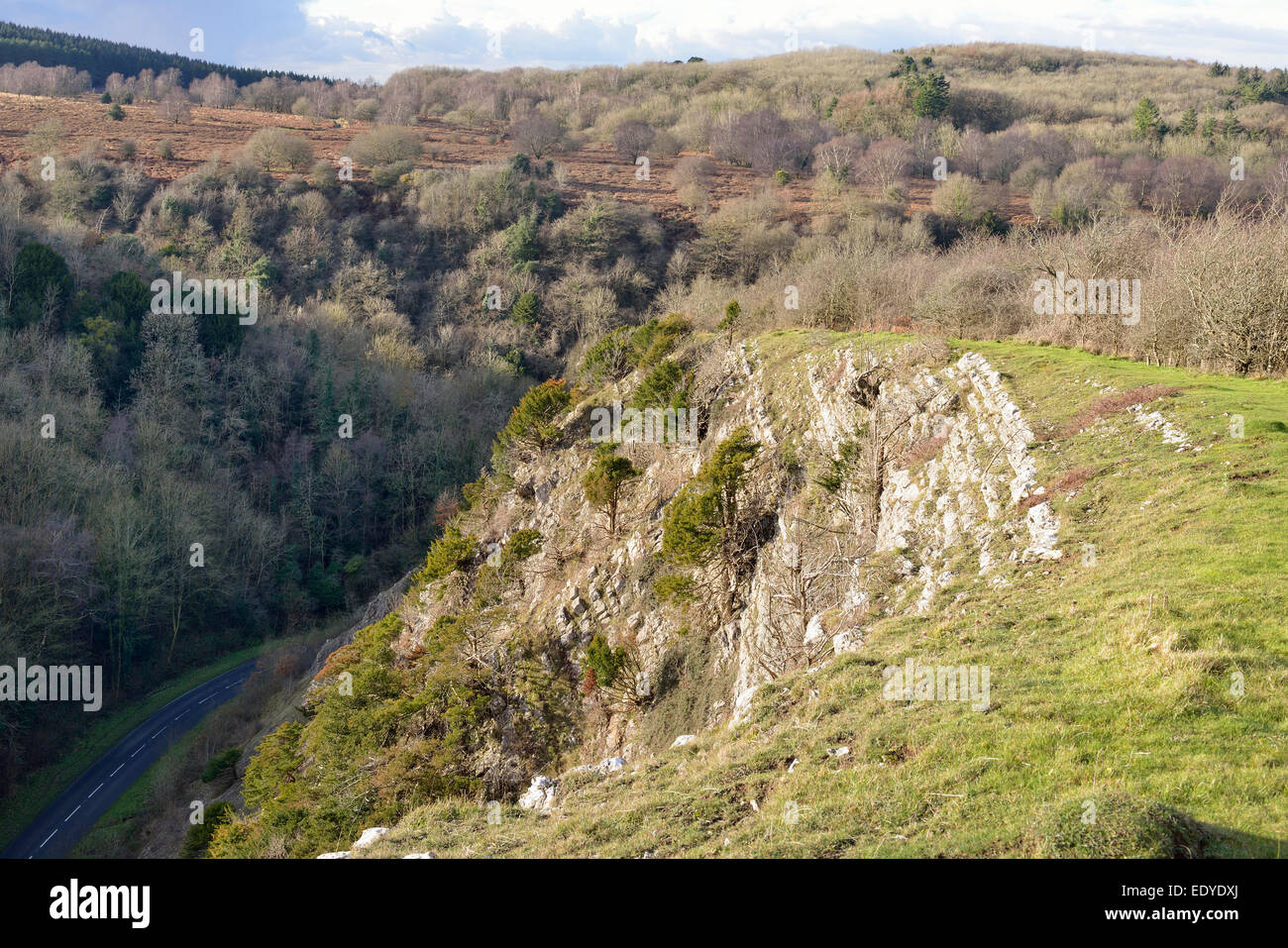 Winter Sun on Cliff Edge of Burrington Combe, Somerset Mendip Lodge ...