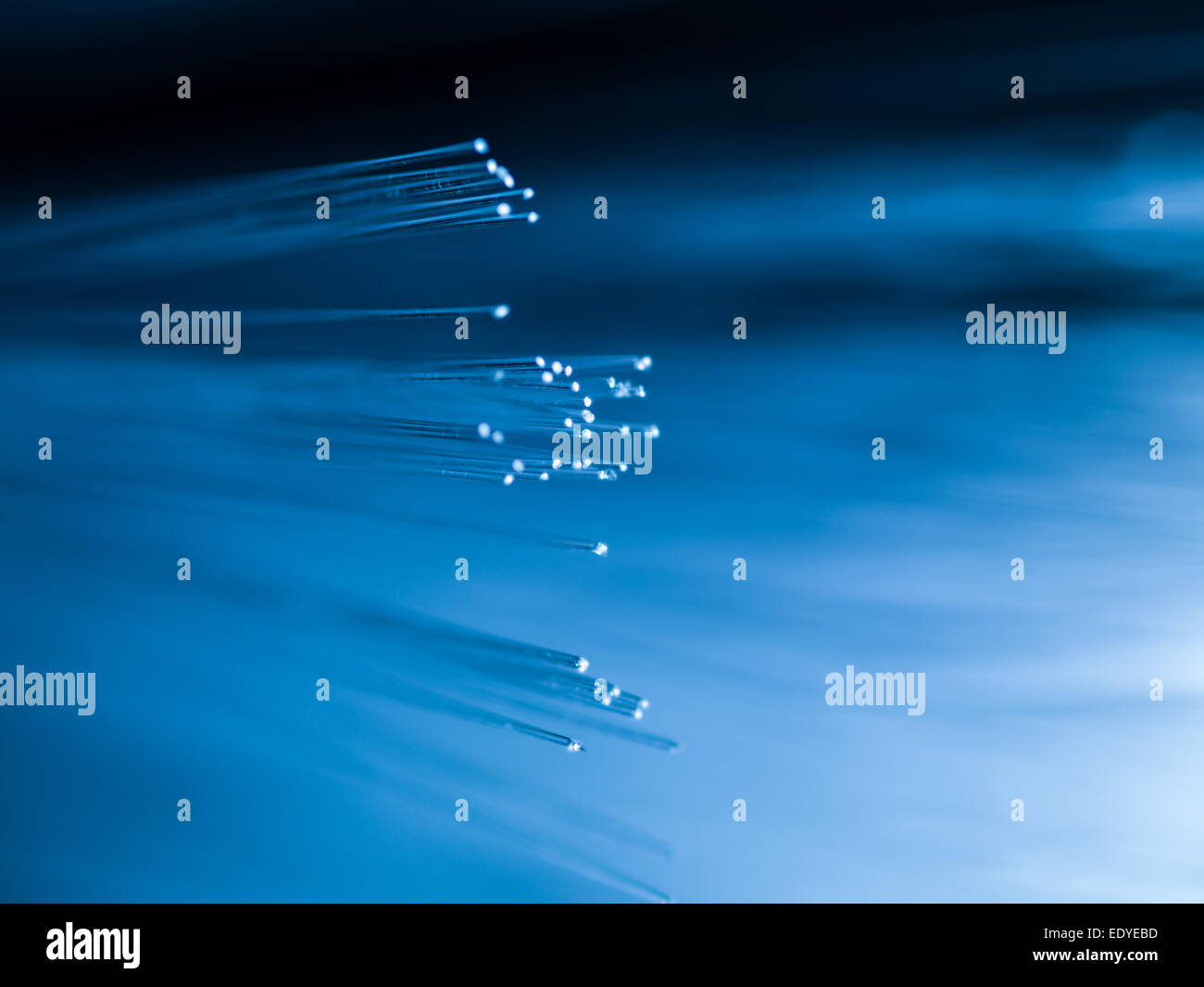 bright blue fiber optics on defocused background Stock Photo - Alamy