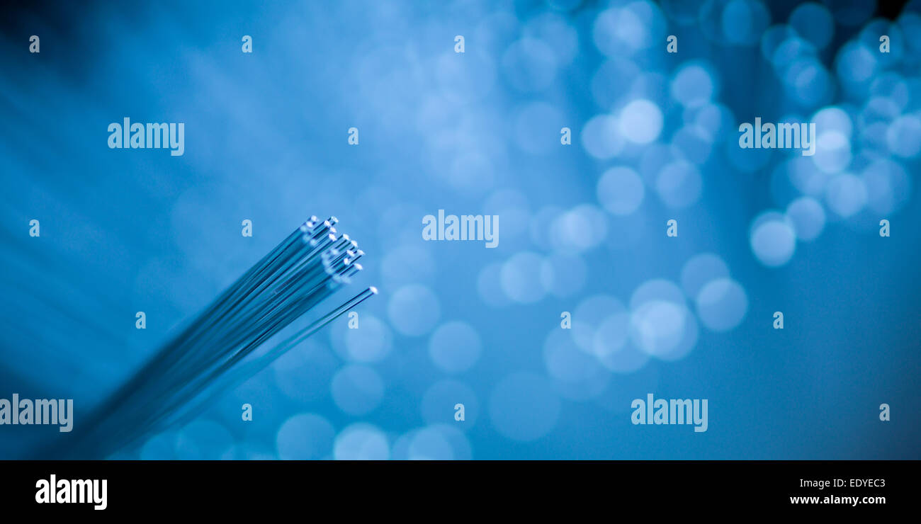 fiber optic filaments on bright blue defocused background Stock Photo ...