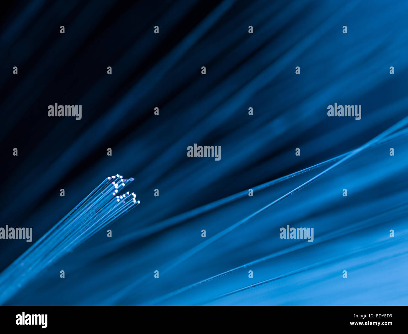 Fiber Optic Lighting High Resolution Stock Photography and Images - Alamy