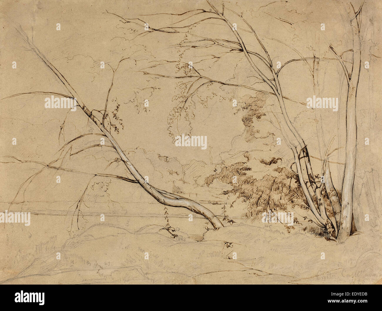 Jean-Baptiste-Camille Corot (French, 1796 - 1875), Clump of Trees at ...