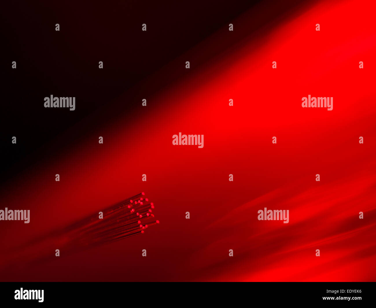macro of ends of a selection of illuminated red fiber optic light ...
