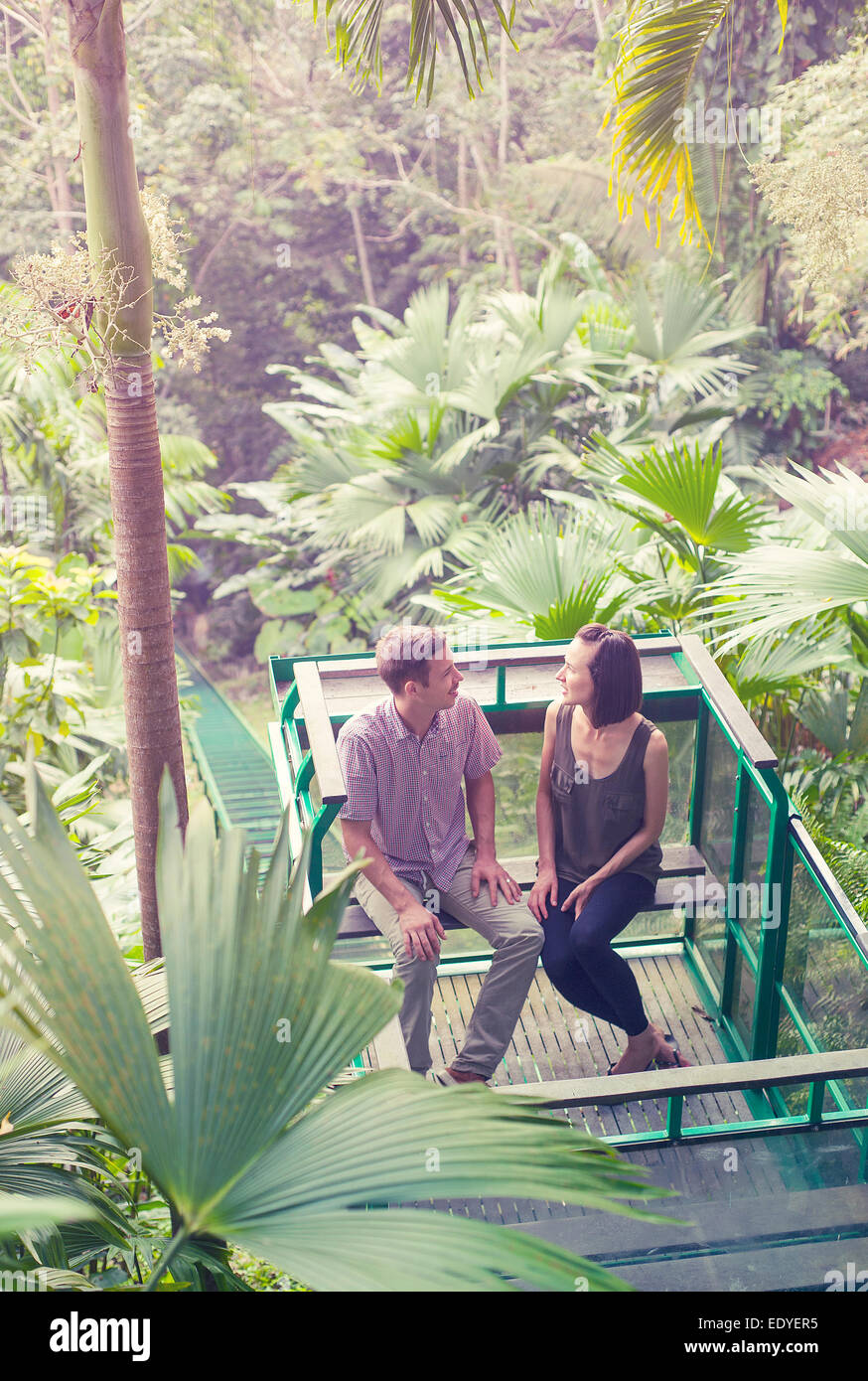 Copal tree hi-res stock photography and images - Alamy