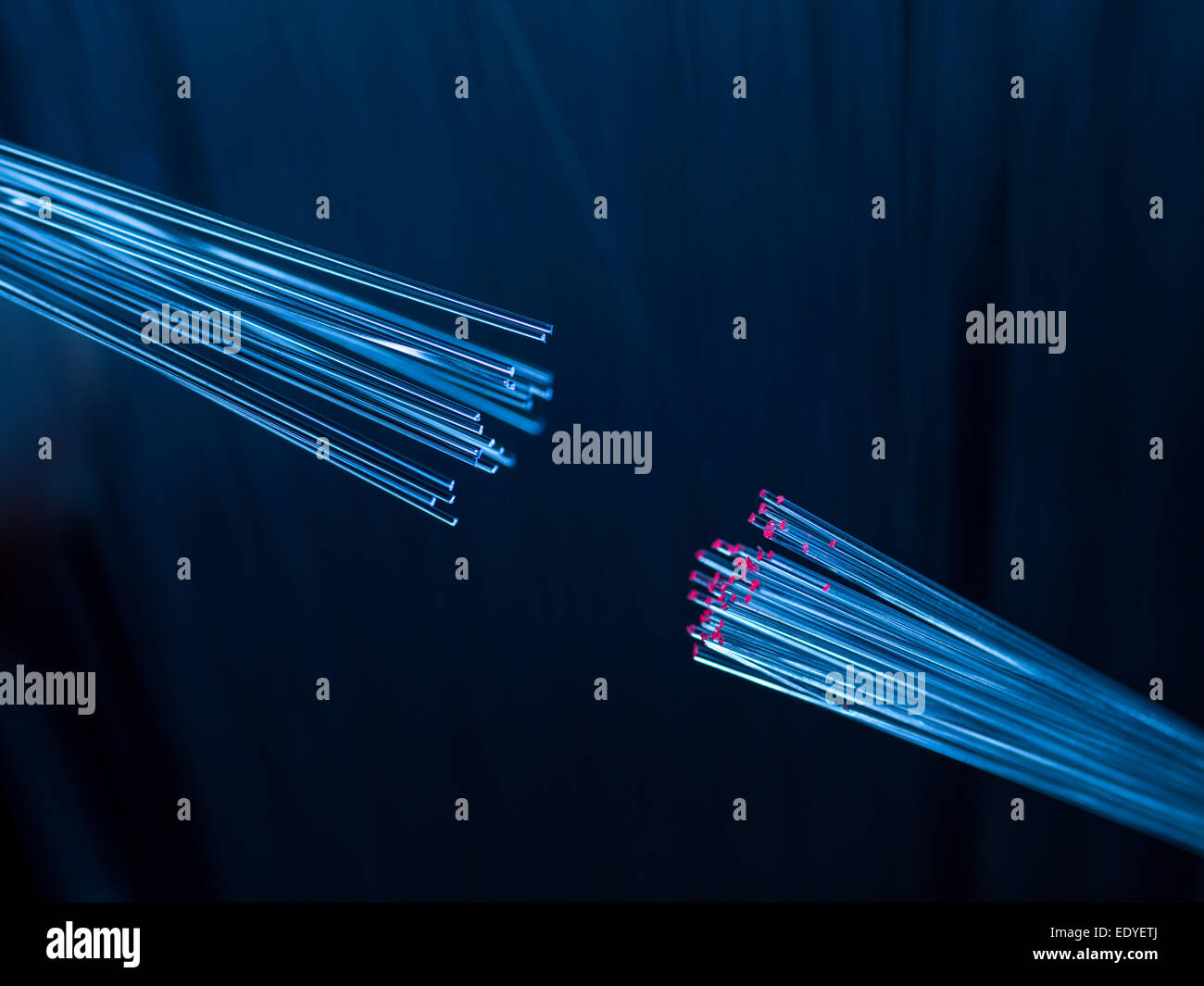 two fiber optic threads connecting on defocused background Stock Photo ...