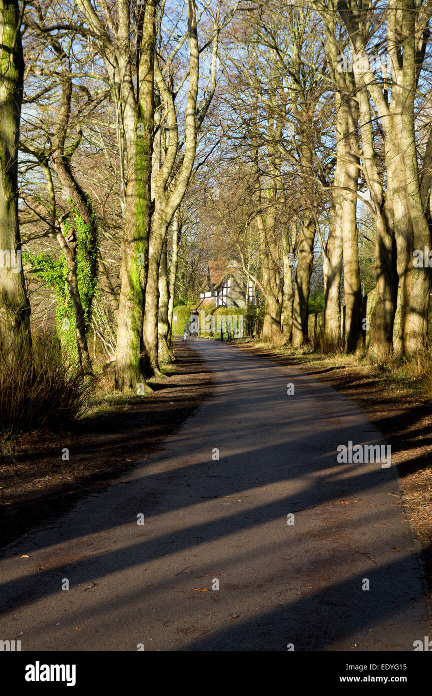 Taff Trail, Cardiff, Wales, UK Stock Photo - Alamy