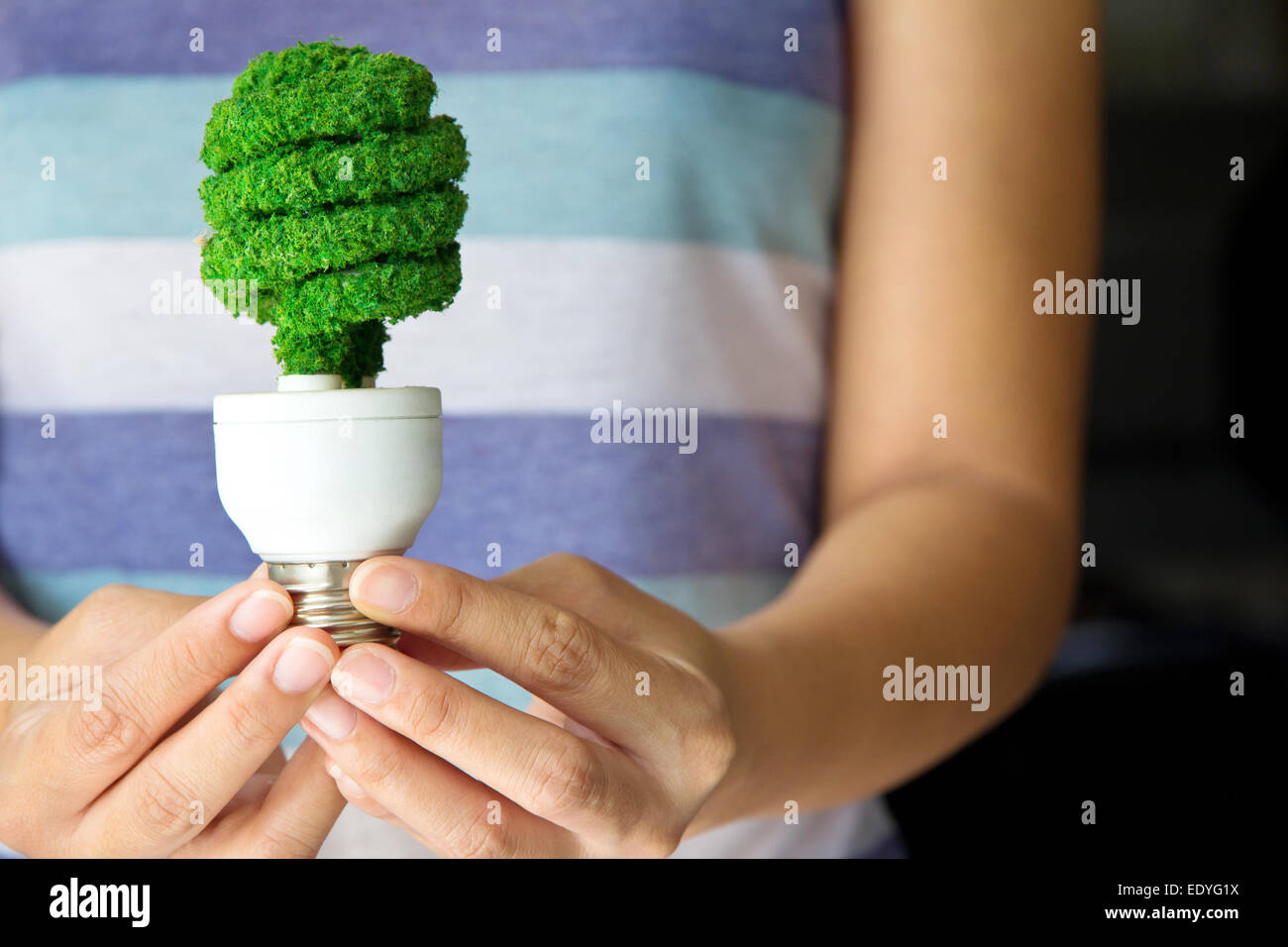 hand holding eco light bulb, save energy concept Stock Photo - Alamy