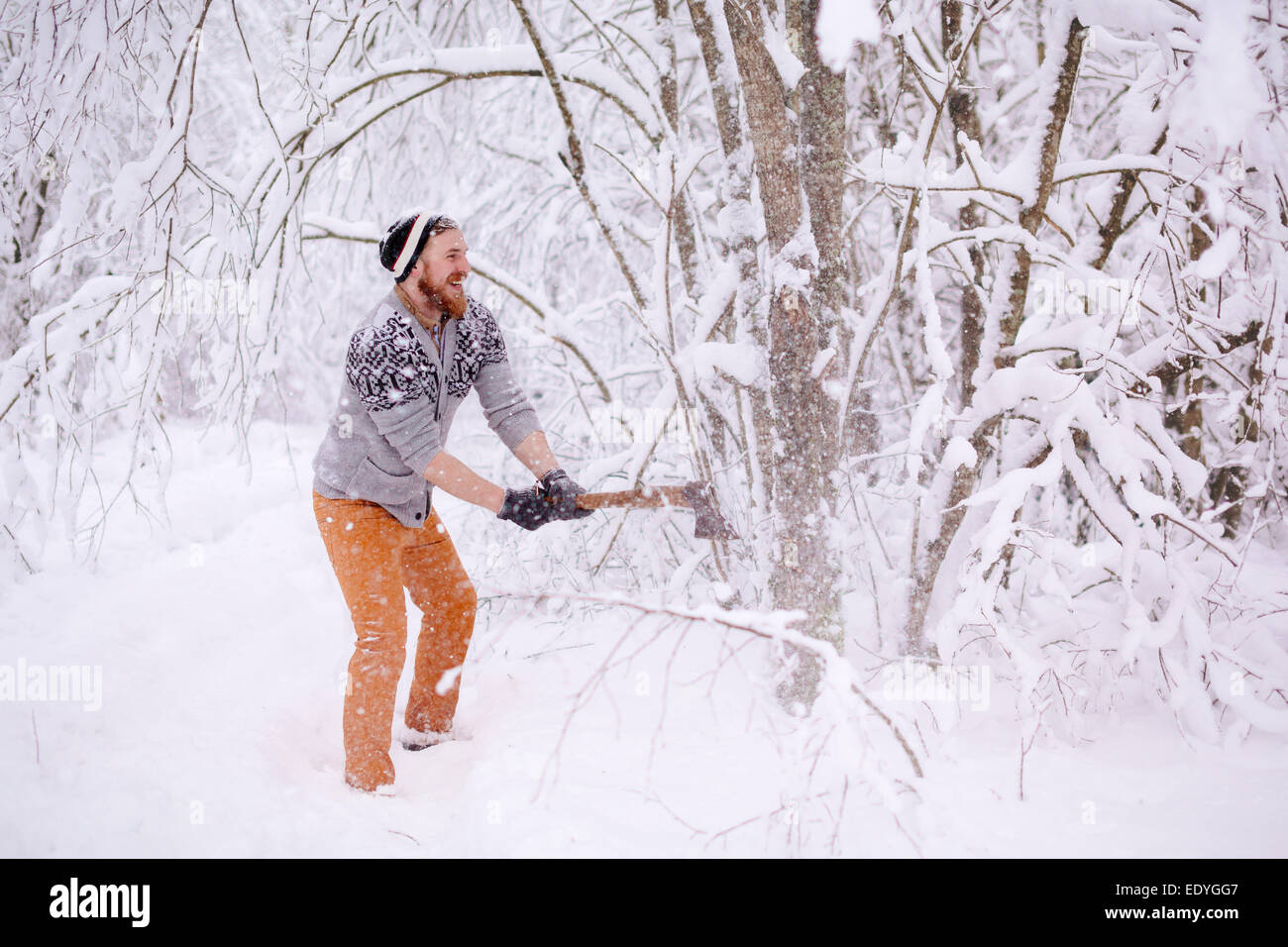 Lumberjack chopping wood Stock Photo - Alamy