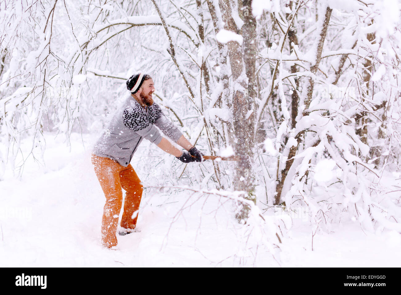 Lumberjack chopping wood Stock Photo - Alamy