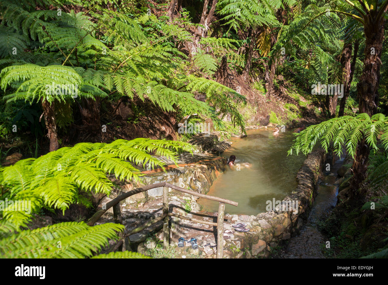 Thermal basin, Caldeira Velha, Sao Miguel, Azores, Portugal Stock Photo ...