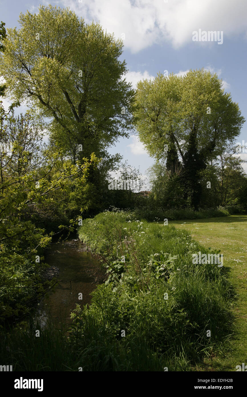 River Shuttle London Borough of Bexley early summer Stock Photo - Alamy
