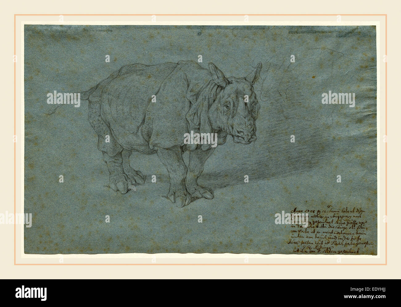 Clara the rhinoceros hi-res stock photography and images - Alamy