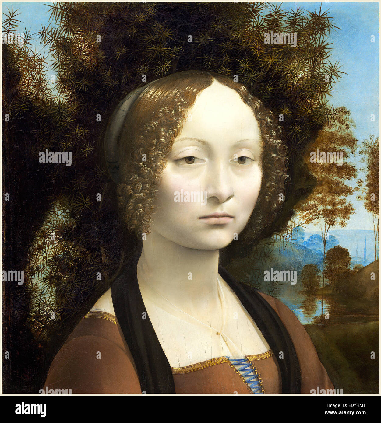 1452 1519 hi-res stock photography and images - Alamy