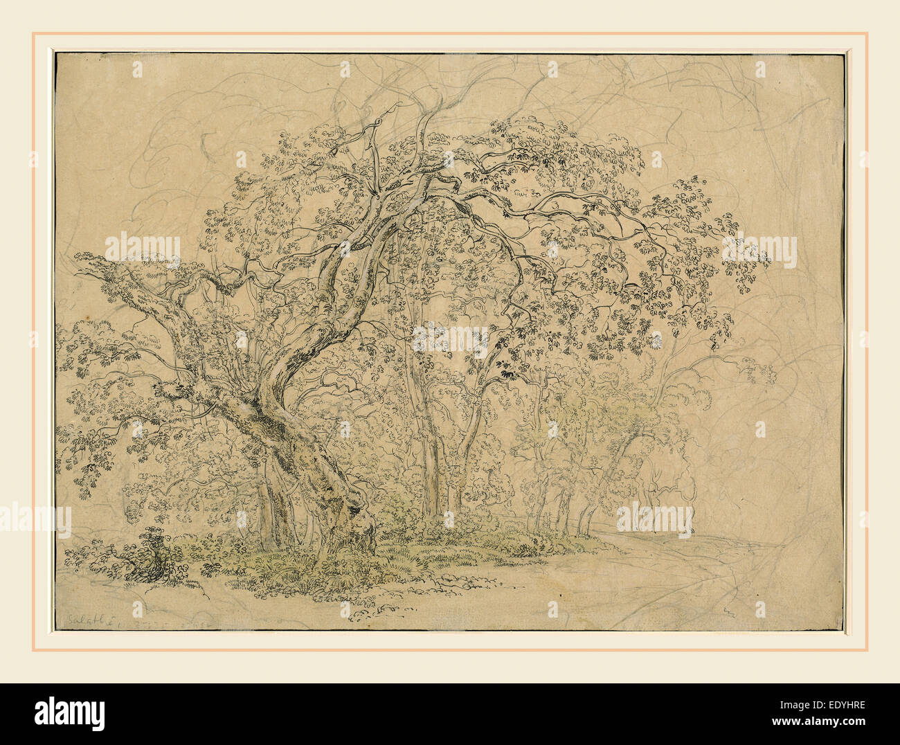 Friedrich Salathé, Swiss (1793-1858), Grove of Trees [verso], c. 1835 ...