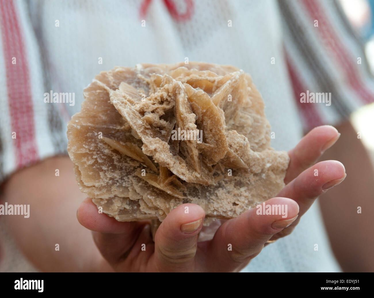 The desert rose is a geological wonder and attraction for tourists in ...