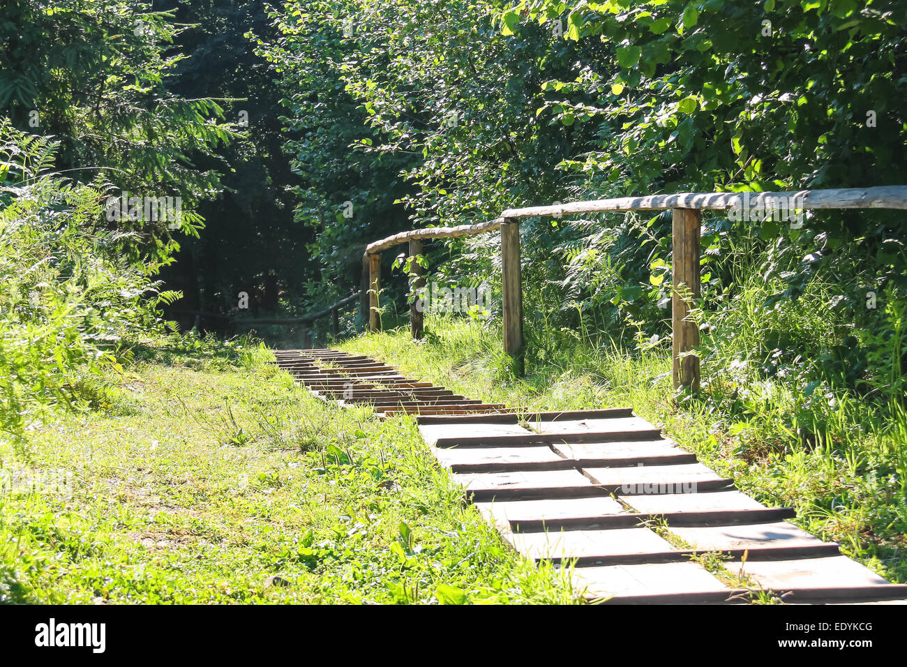 Decking board path pathway hi-res stock photography and images - Alamy