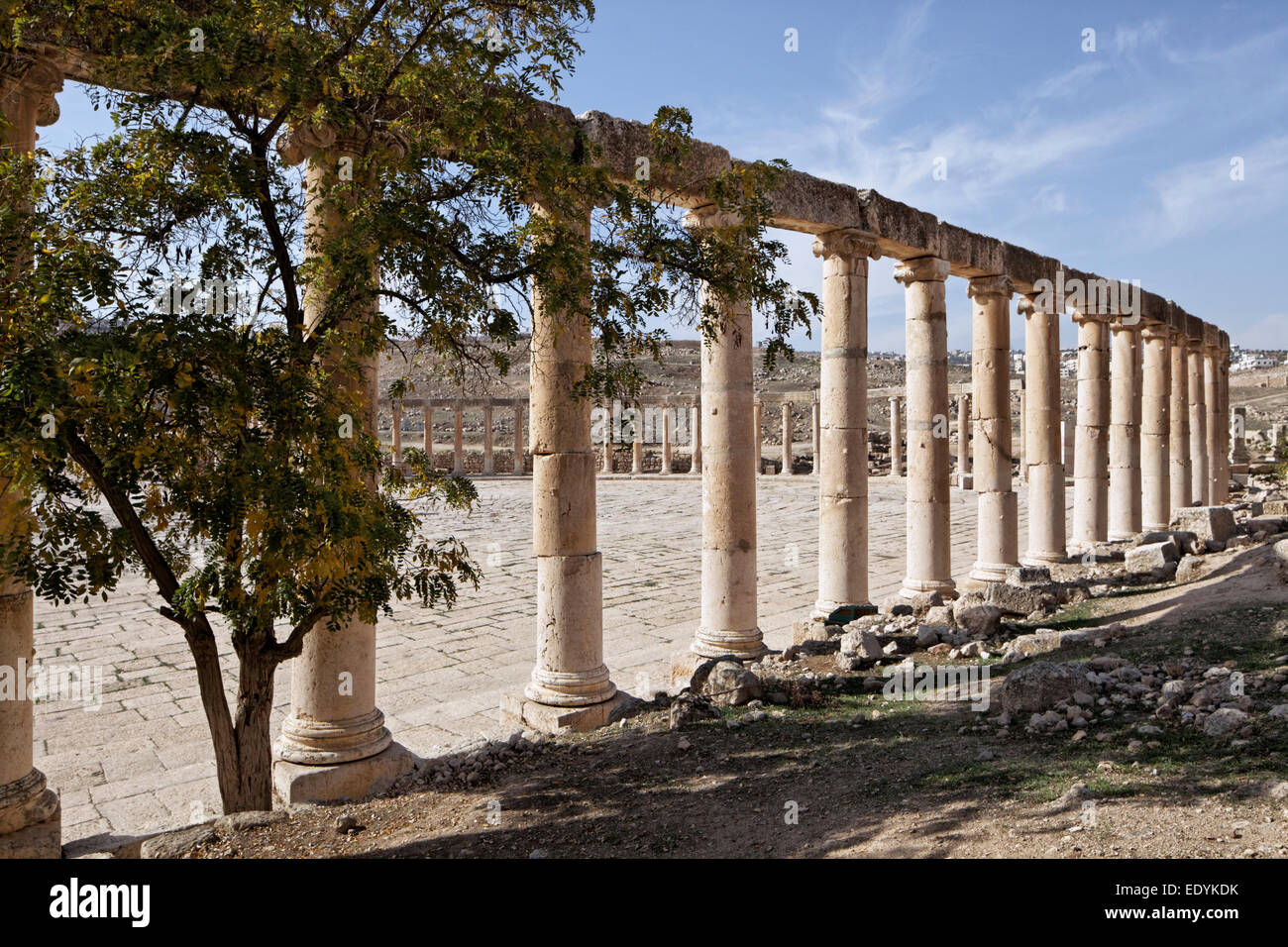 Columns, oval Forum, ancient Roman city of Jerash, part of the ...