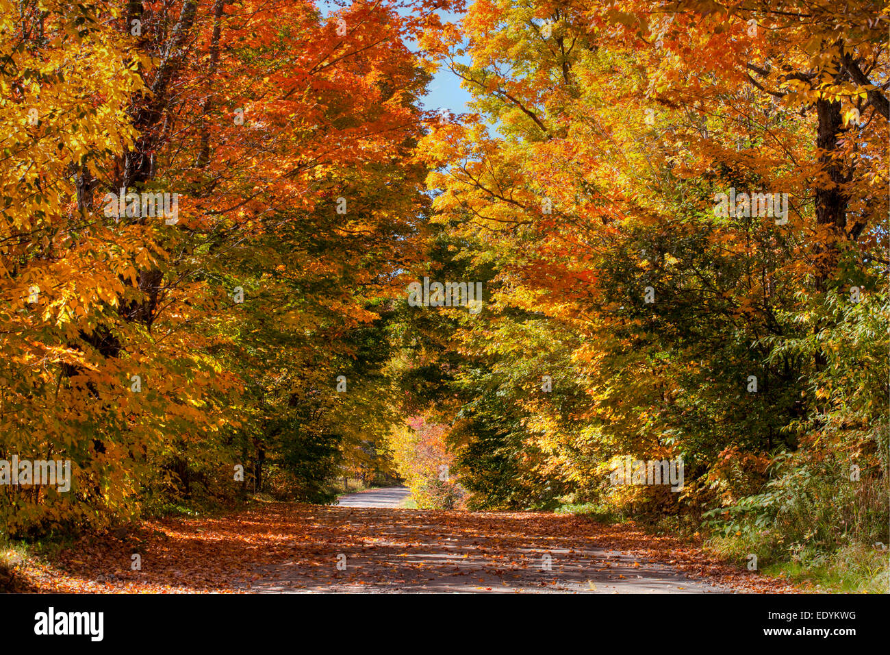 Austin canada hi-res stock photography and images - Alamy