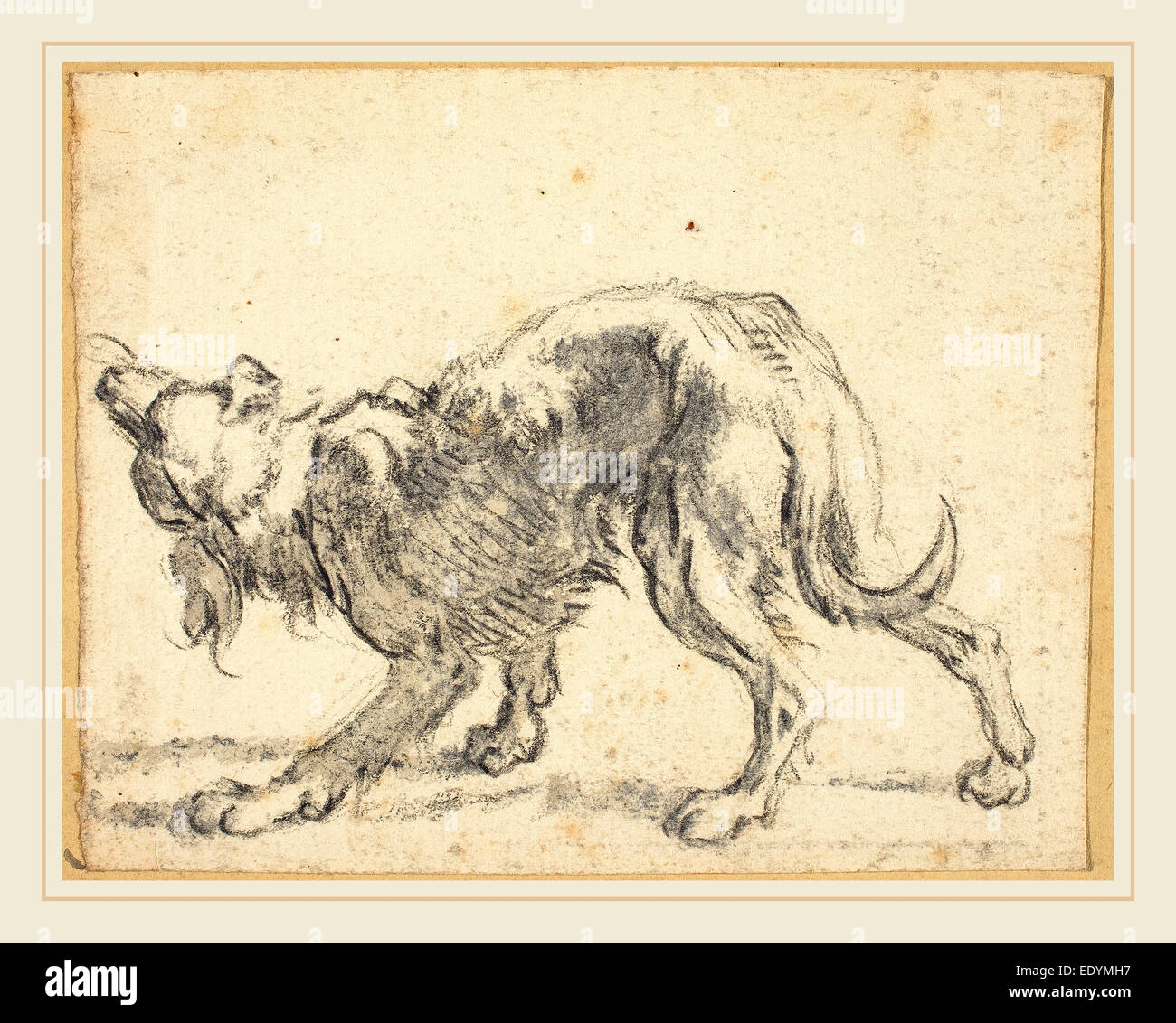 Herman Saftleven, Dutch (1609-1685), A Dog, black chalk with gray-brown ...