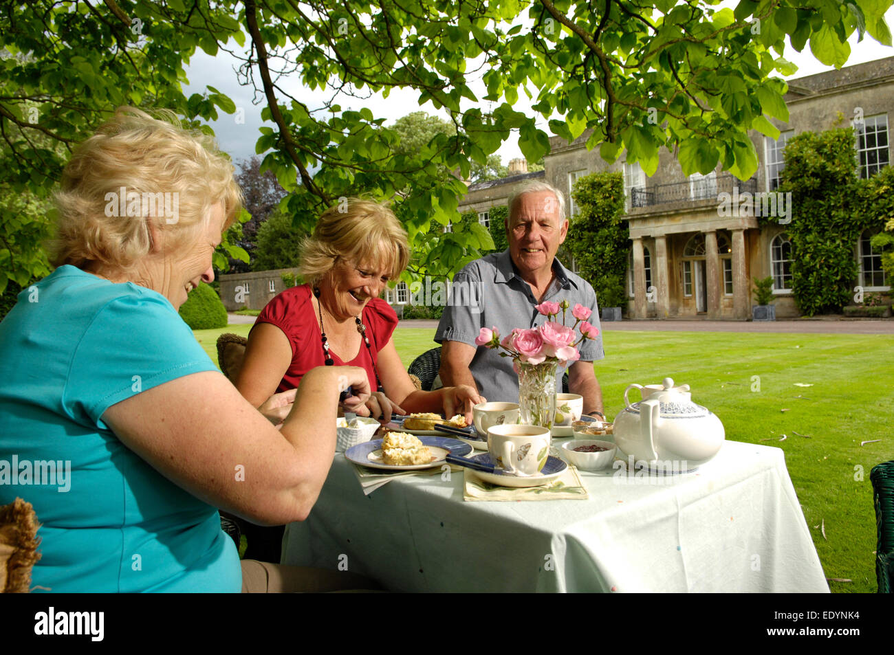 Harptree hi-res stock photography and images - Alamy