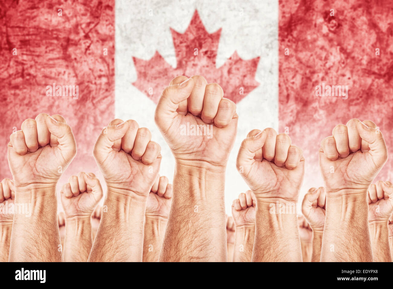 Canada Labor movement, workers union strike concept with male fists ...