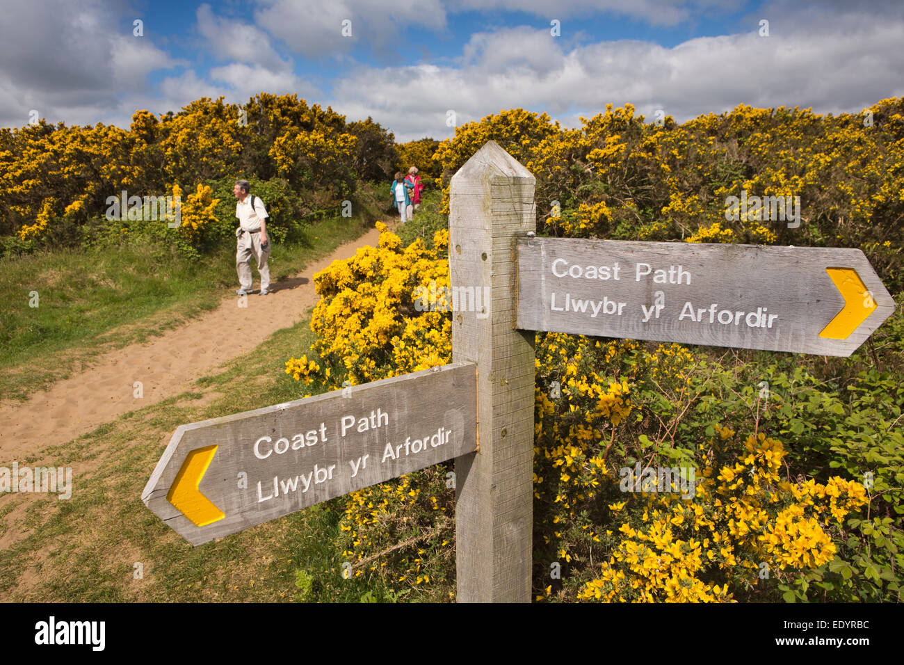UK, Wales, Swansea, Gower, Penmaen Burrows Coast Path Signs, older ...
