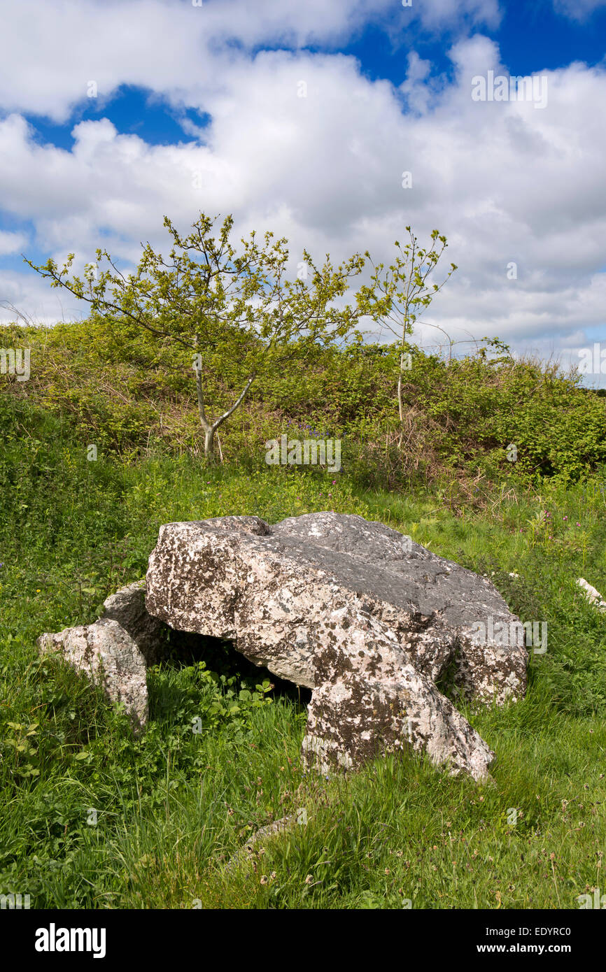 UK, Wales, Swansea, Gower, Penmaen Burrows Chambered Tomb, ancient ...