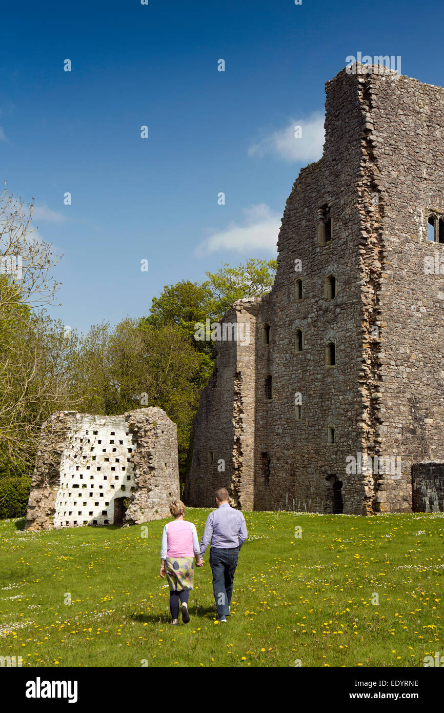 Tudor ruins hi-res stock photography and images - Alamy