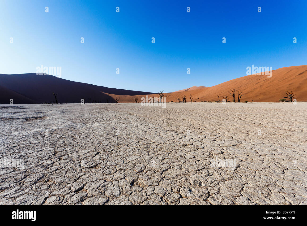 Sossusvlei beautiful sunrise landscape of hidden death valley in ...