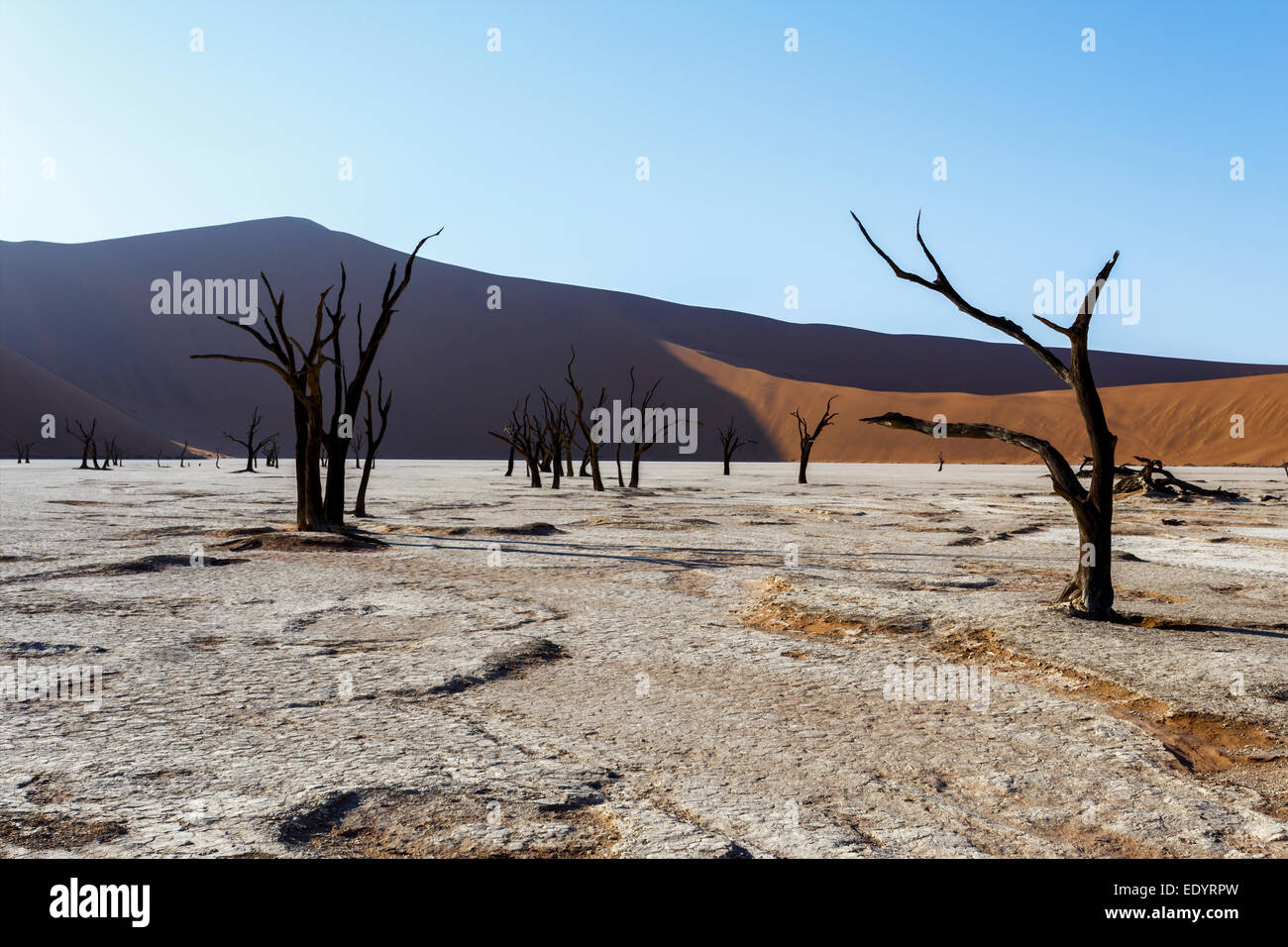 Sossusvlei beautiful sunrise landscape of hidden death valley in ...
