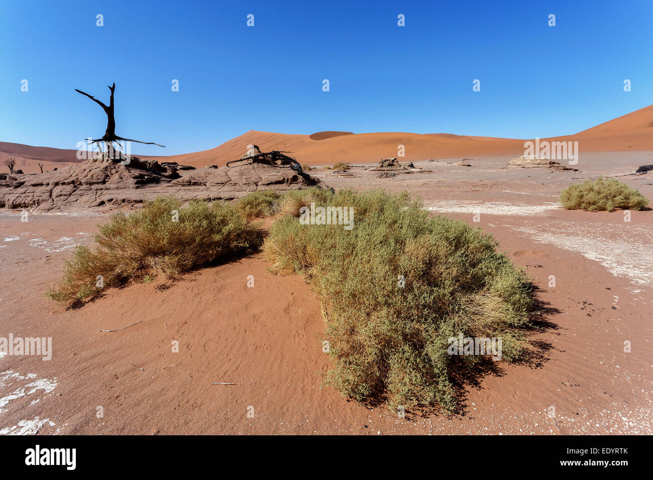 Sossusvlei beautiful sunrise landscape of hidden death valley in ...