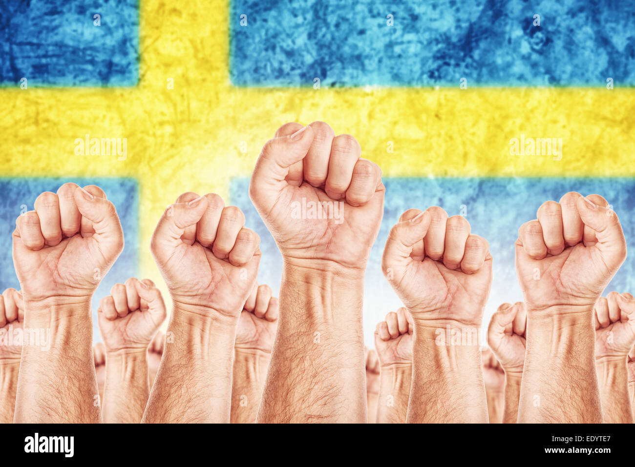 Sweden Labor movement, workers union strike concept with male fists ...