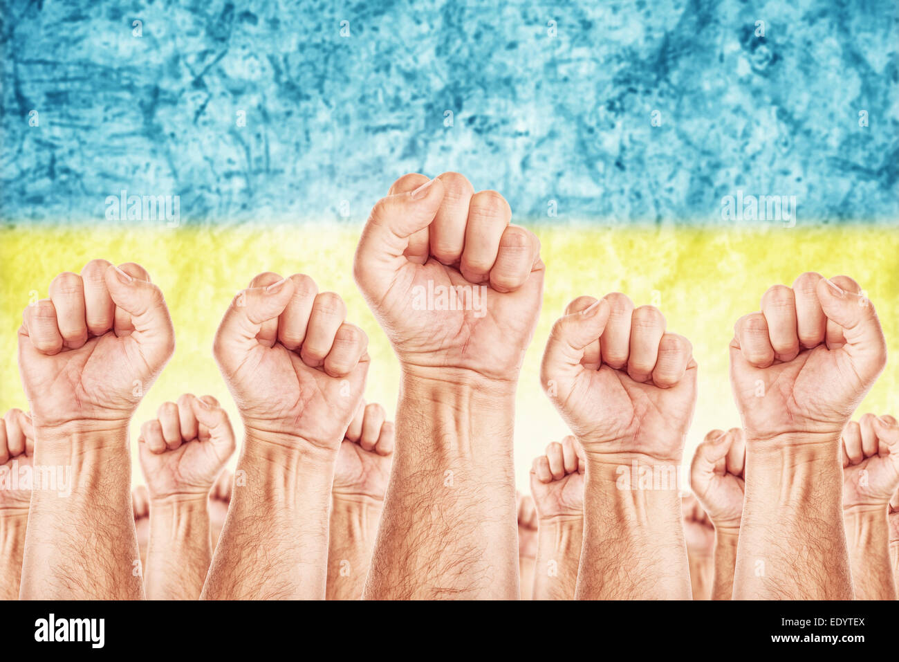 Ukraine Labor movement, workers union strike concept with male fists ...